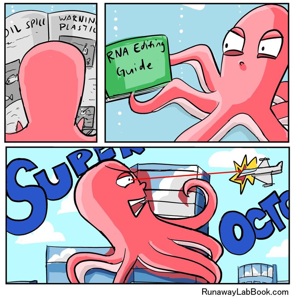 Adaptive octopus – the Runaway Lab Book